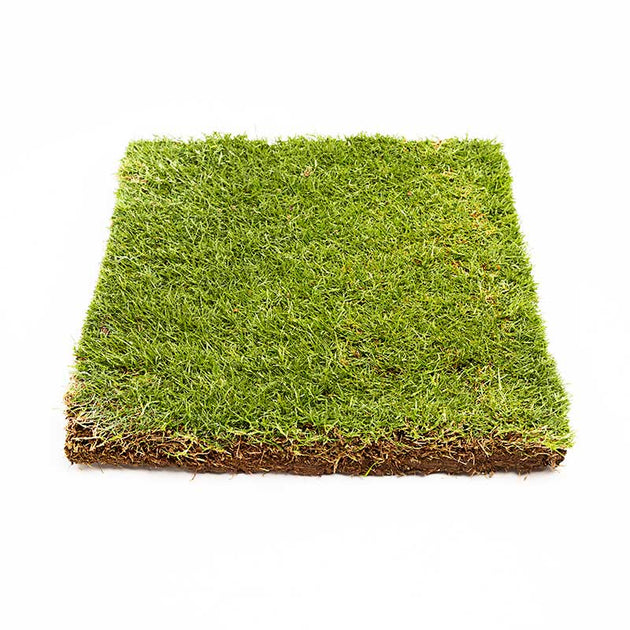 Shop Instant Lawn & Turf Varieties Melbourne | Instant Lawn