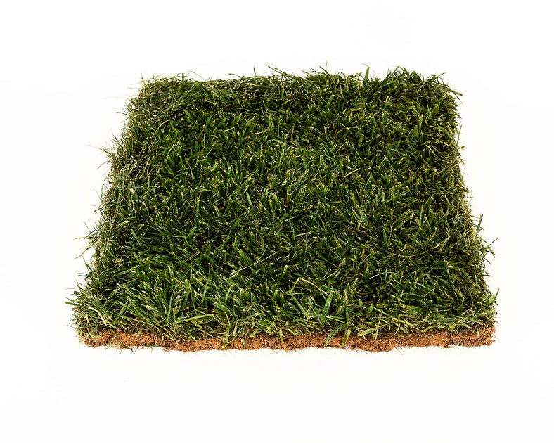 Shop RTF Tall Fescue Turf | Instant Lawn